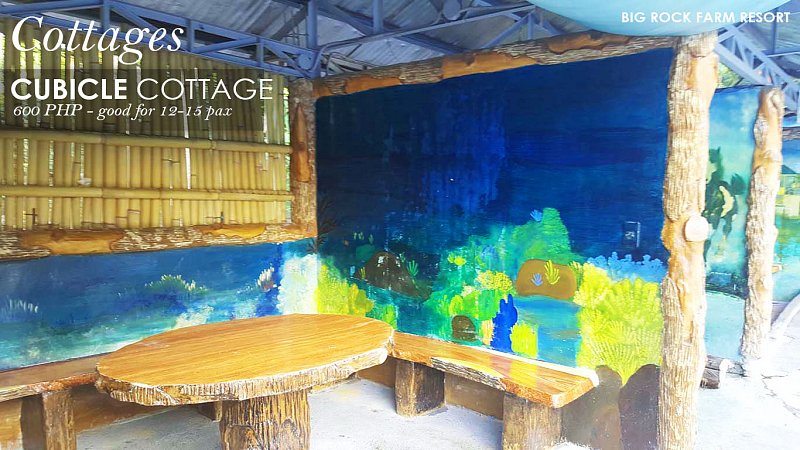 Cubicle Cottage - Big Rock Farm Resort